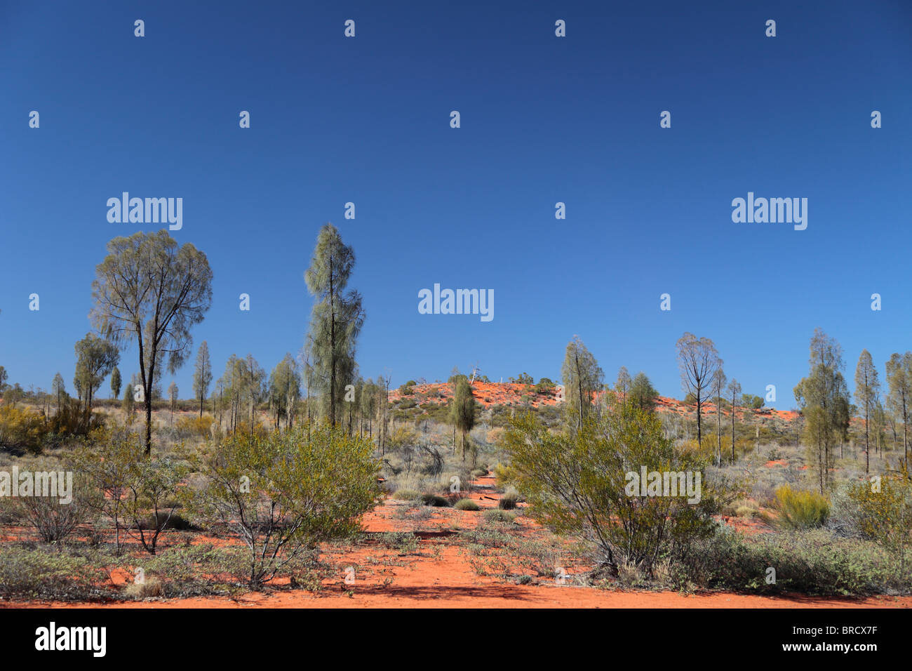 Hot australia hi-res stock photography and images - Alamy