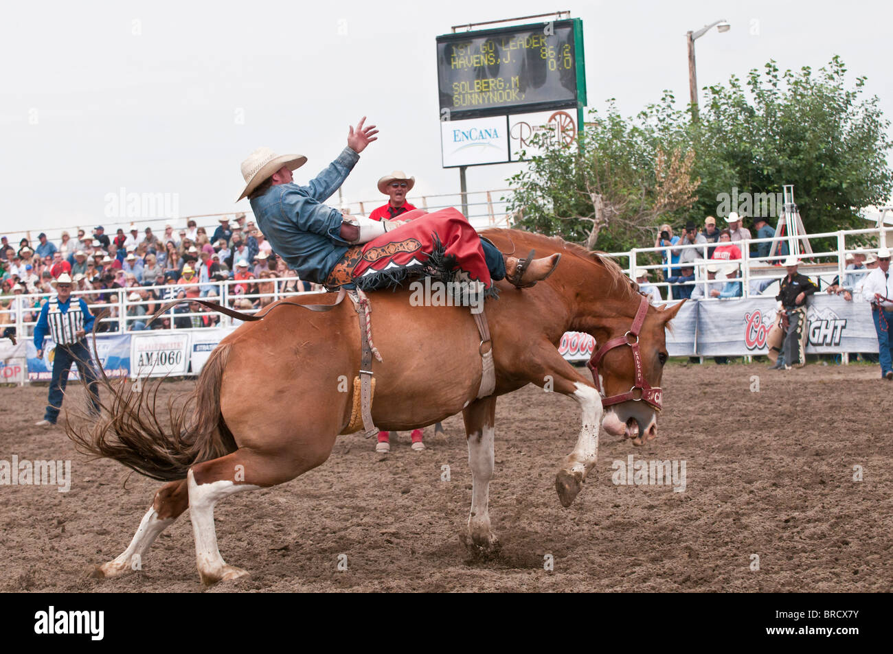 Cowboy, saddle bronc riding, Strathmore Heritage Days, Rodeo ...