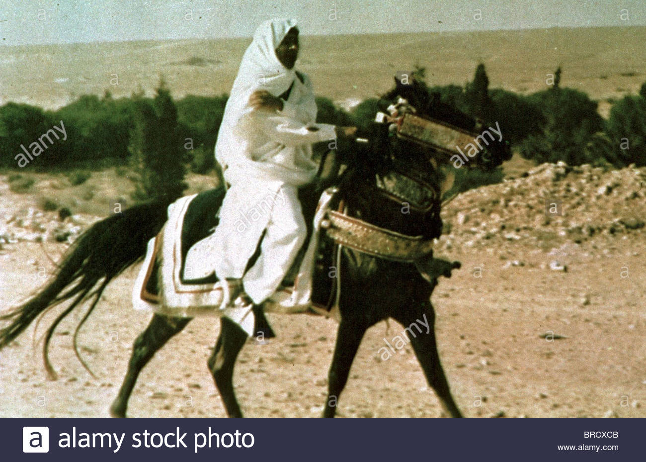 Gadhafi High Resolution Stock Photography and Images - Alamy