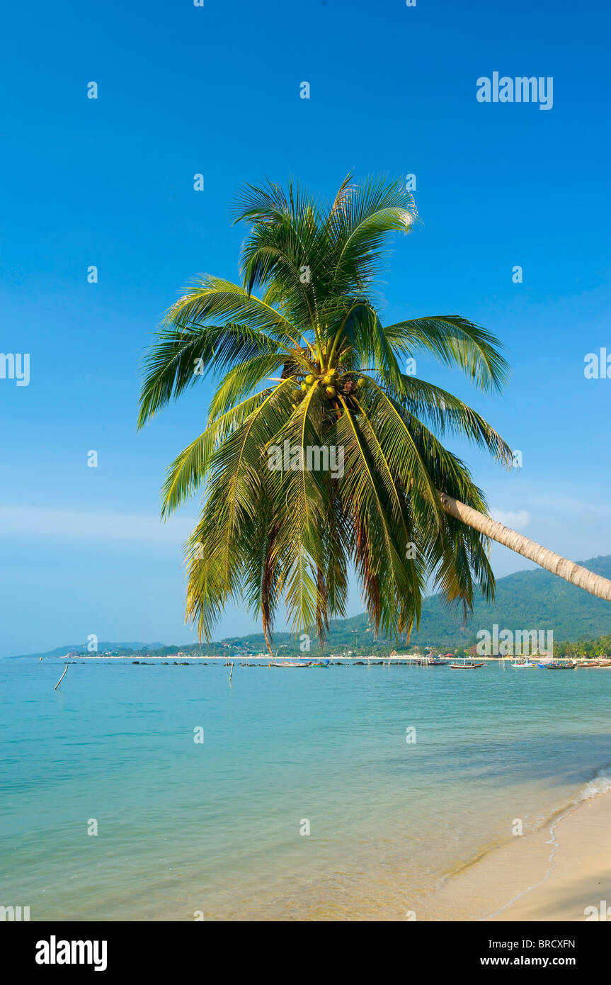 Koh samui beaches hi-res stock photography and images - Alamy
