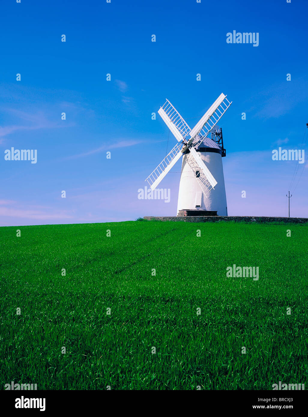 Ballycopeland Windmill, Millisle, County Down, Ireland Stock Photo - Alamy