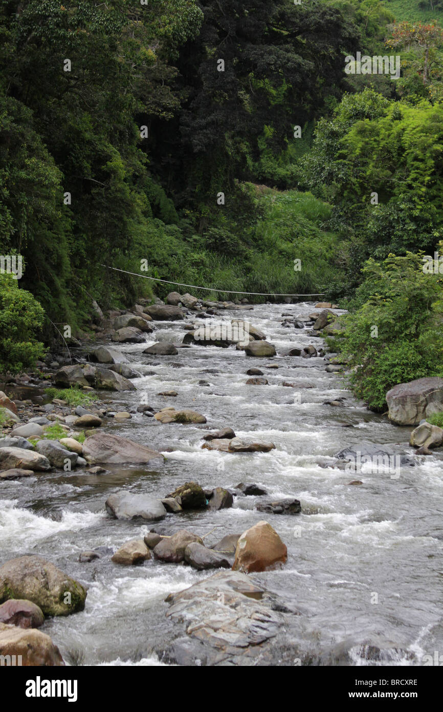 Caldera river, Bambito, Panamá Stock Photo - Alamy