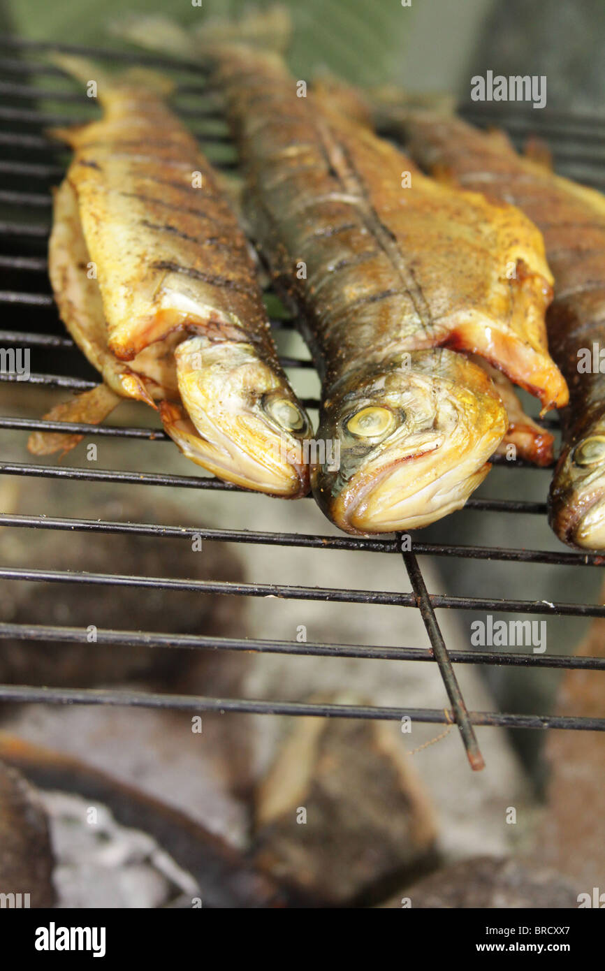 Meat being grilled over wood hi-res stock photography and images - Alamy