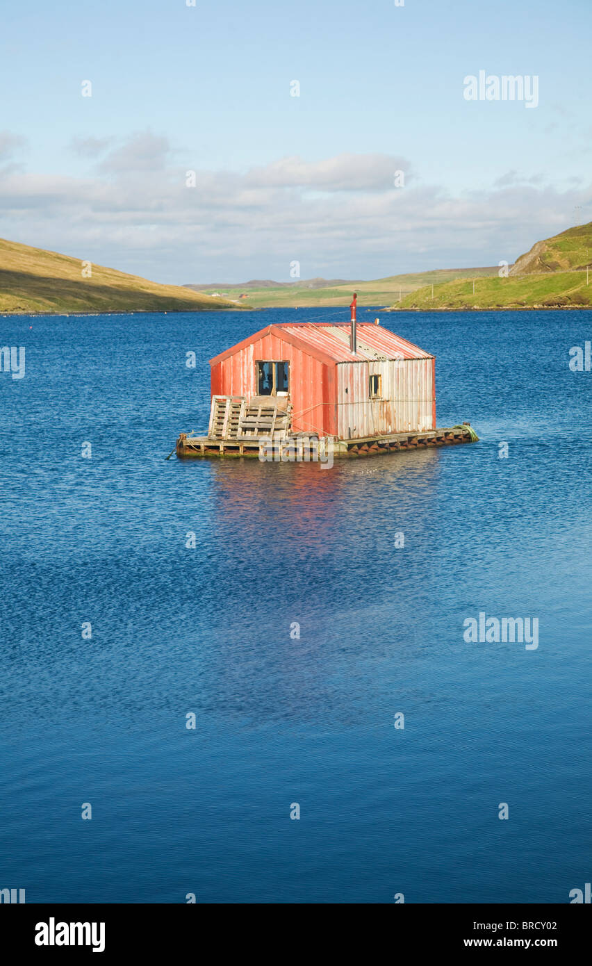 Olna hi-res stock photography and images - Alamy