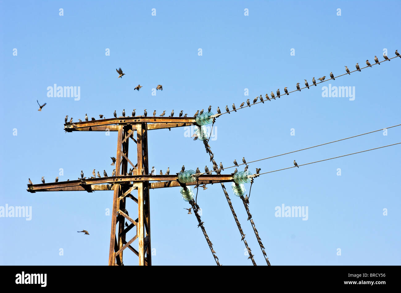 Electrical conductors hi-res stock photography and images - Alamy