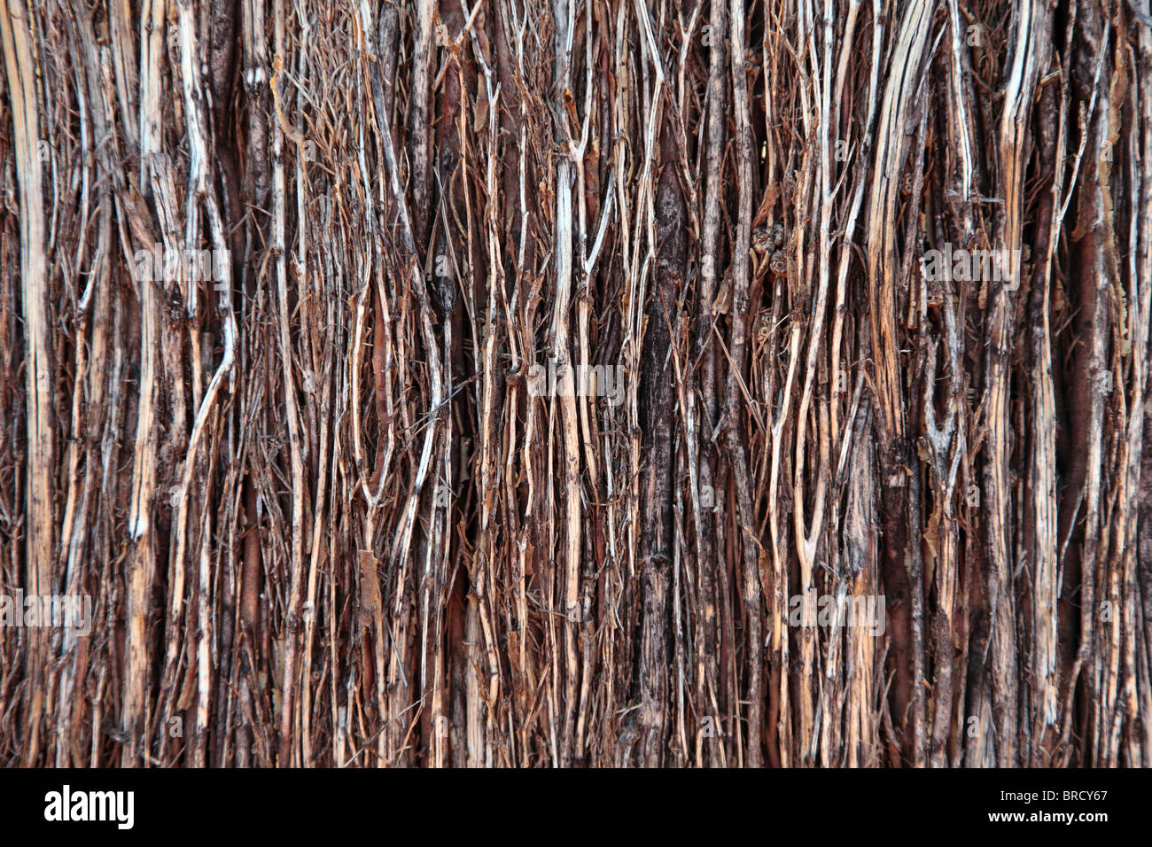 Out ouf hi-res stock photography and images - Alamy