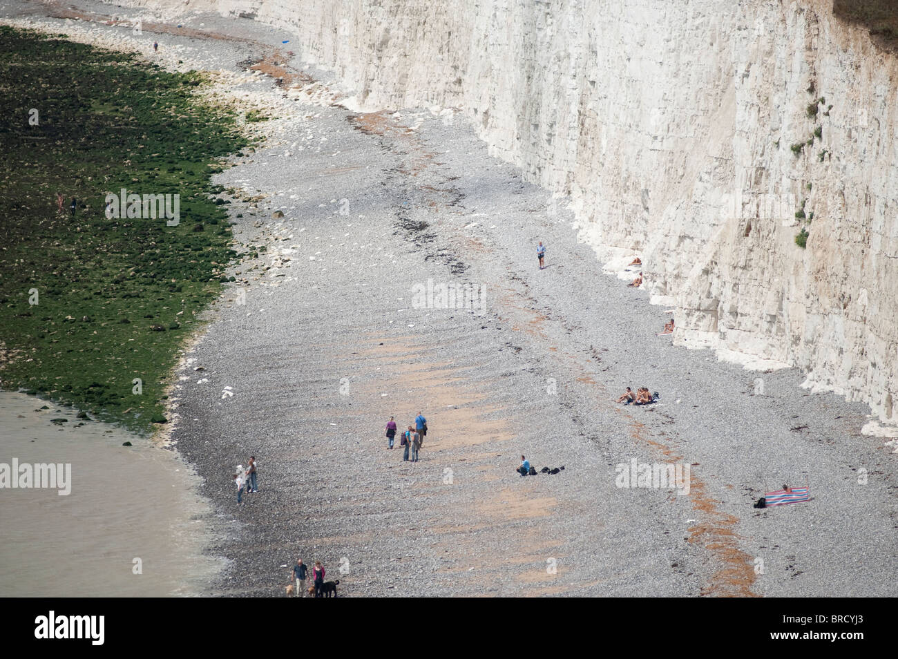 White chalk cliffs at birling gap hi-res stock photography and images ...