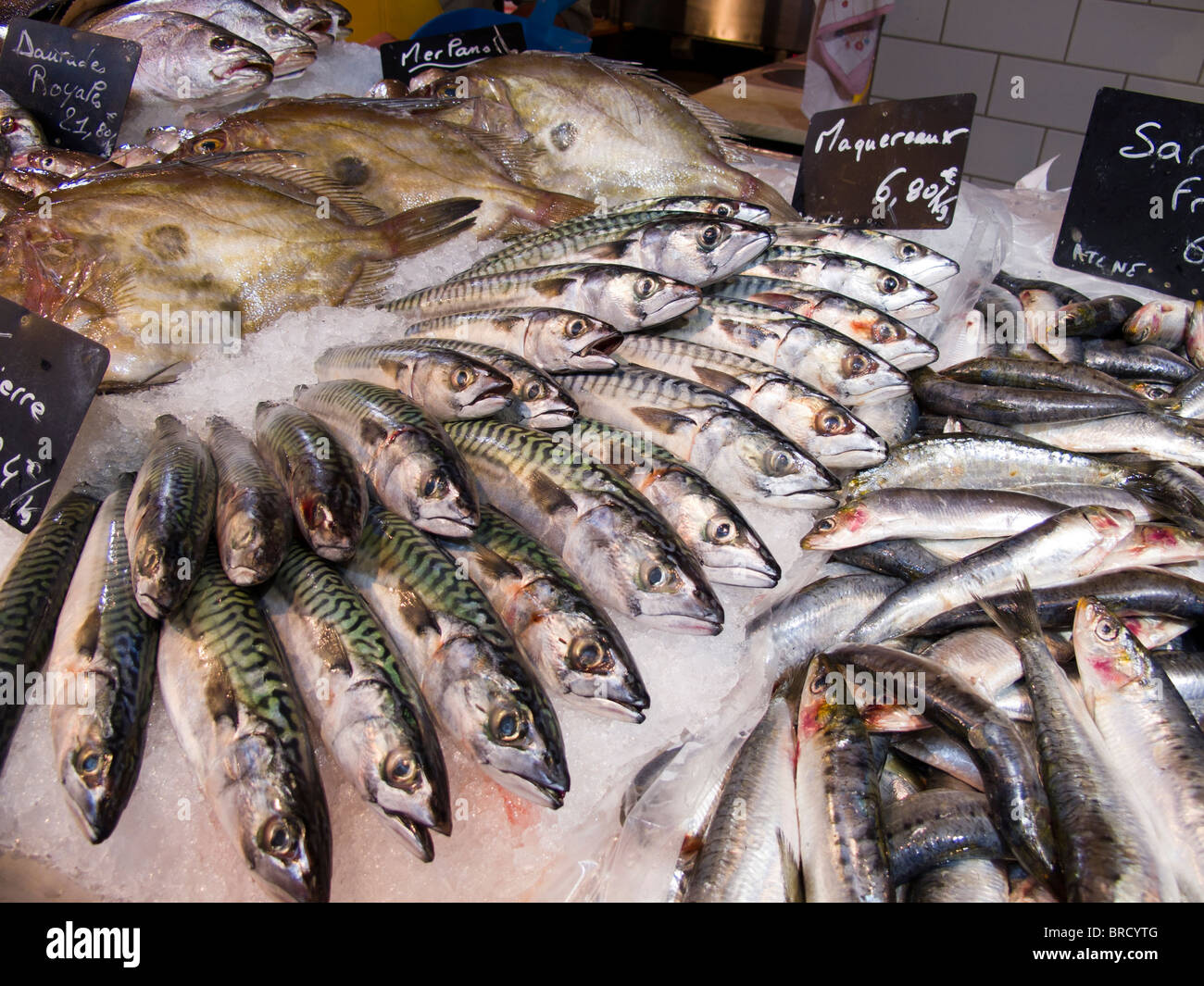 Fish on display at the indoor fresh food market in St Martin de Re on ...