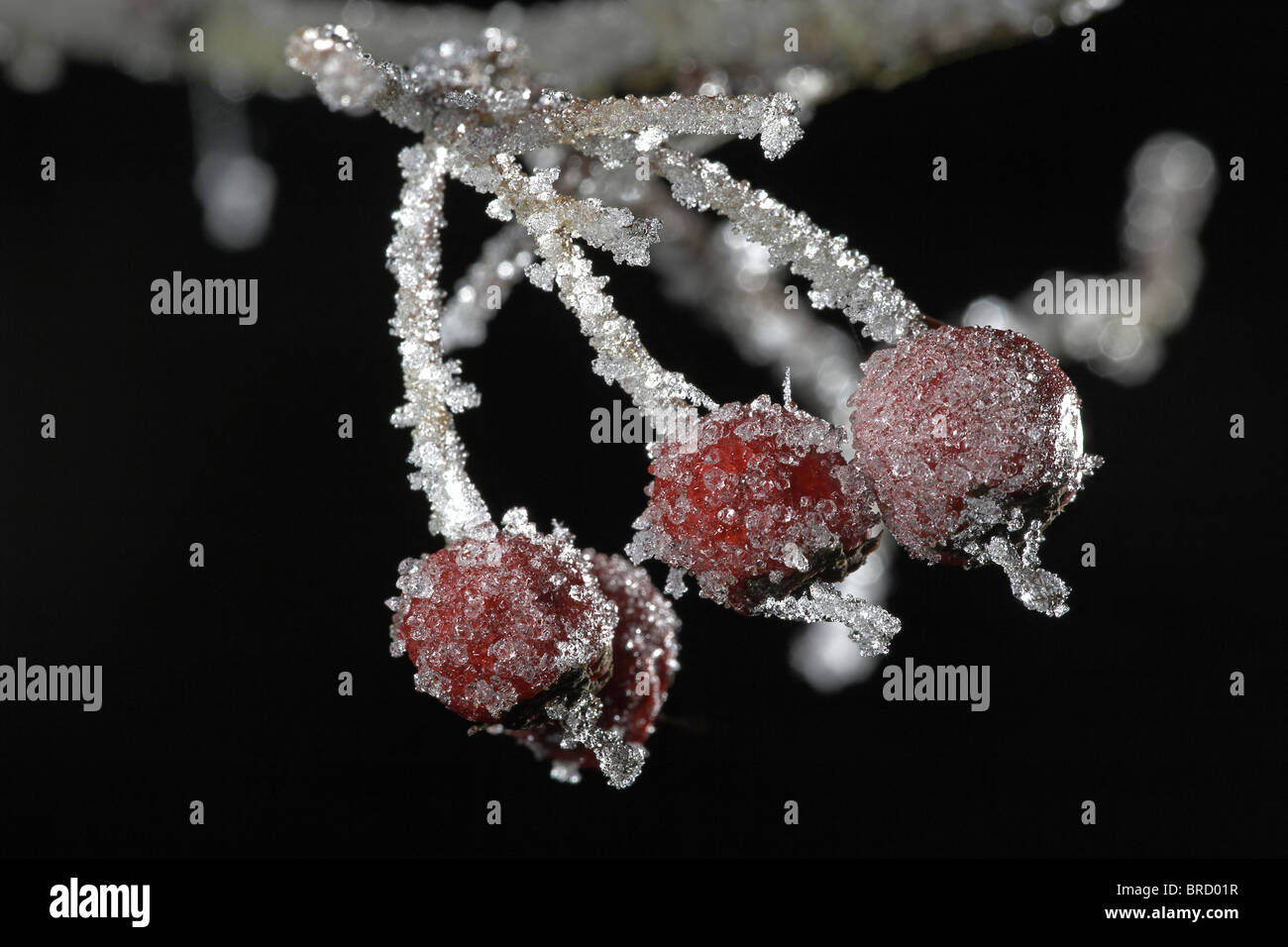 Kiplingcotes winter hi-res stock photography and images - Alamy