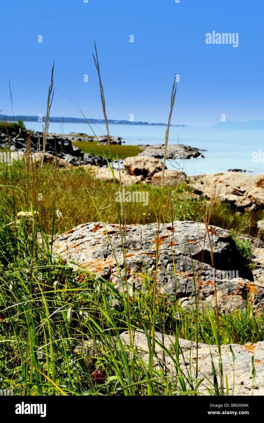 Rocky boulders beach coastline hi-res stock photography and images - Alamy