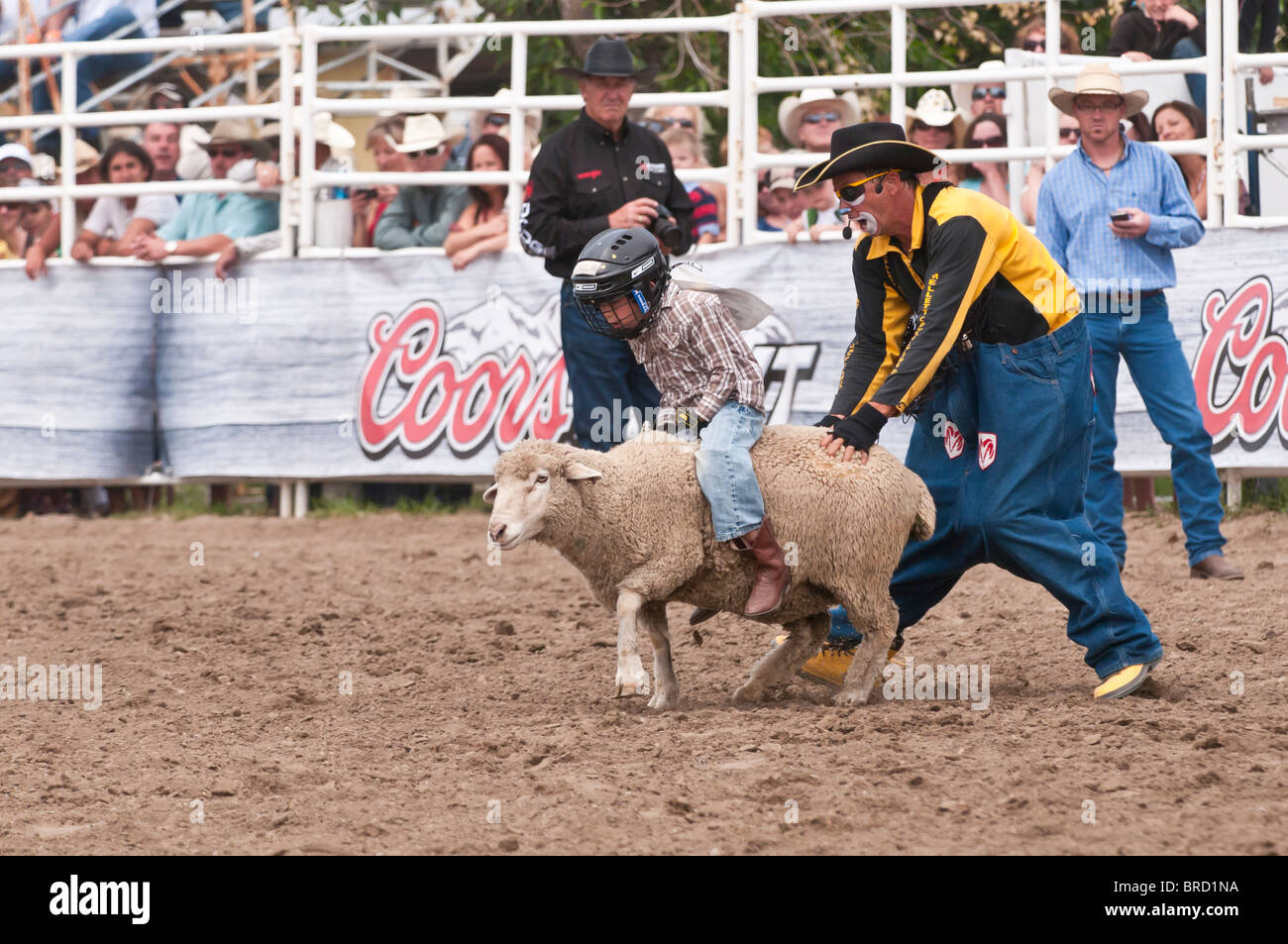 Mutton busting event, children riding sheep, Strathmore Heritage Days ...