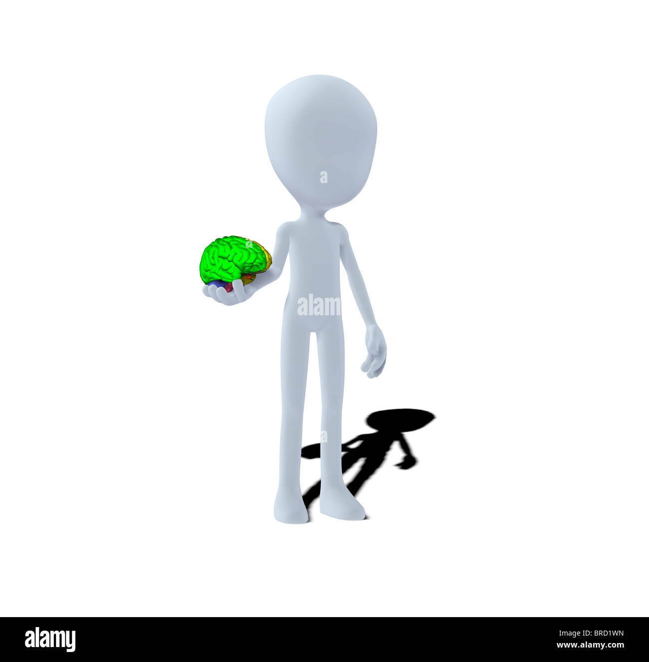 Figures anatomy Cut Out Stock Images & Pictures - Alamy