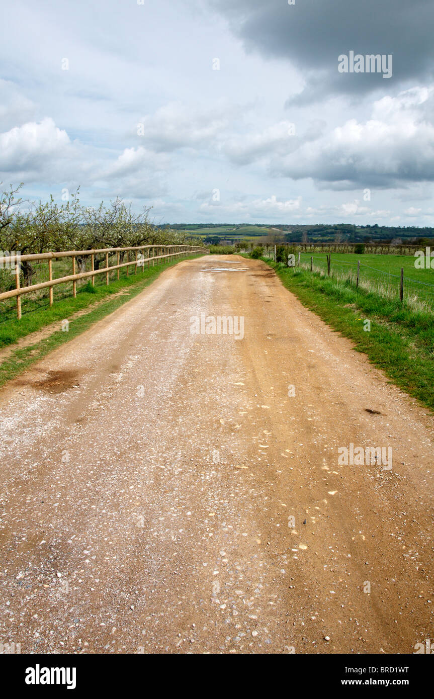 A road in the countryside with a wooden fence Stock Photo - Alamy