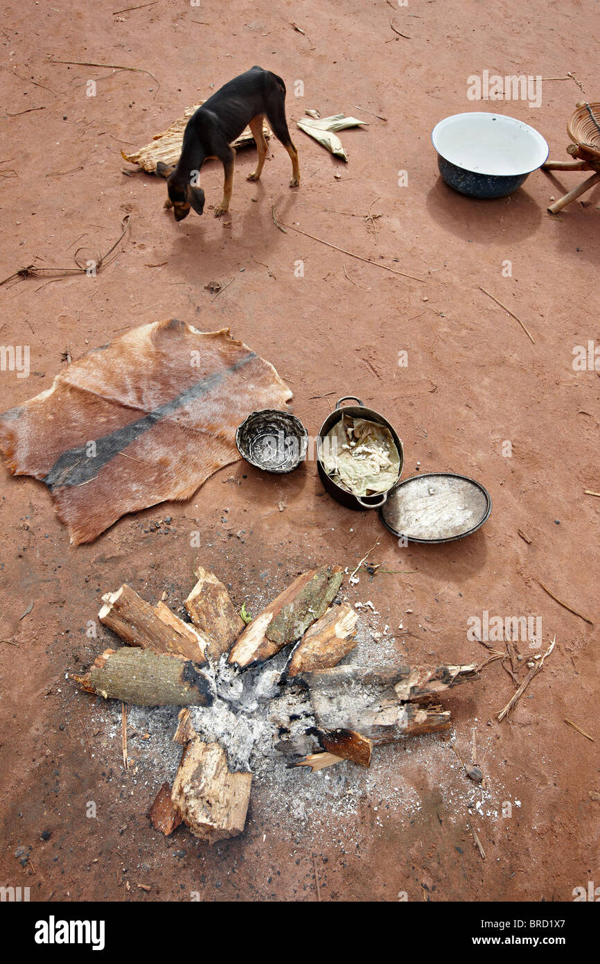 Food preparation by Baaka Pygmies, Dzanga Sangha Reserve, Central ...