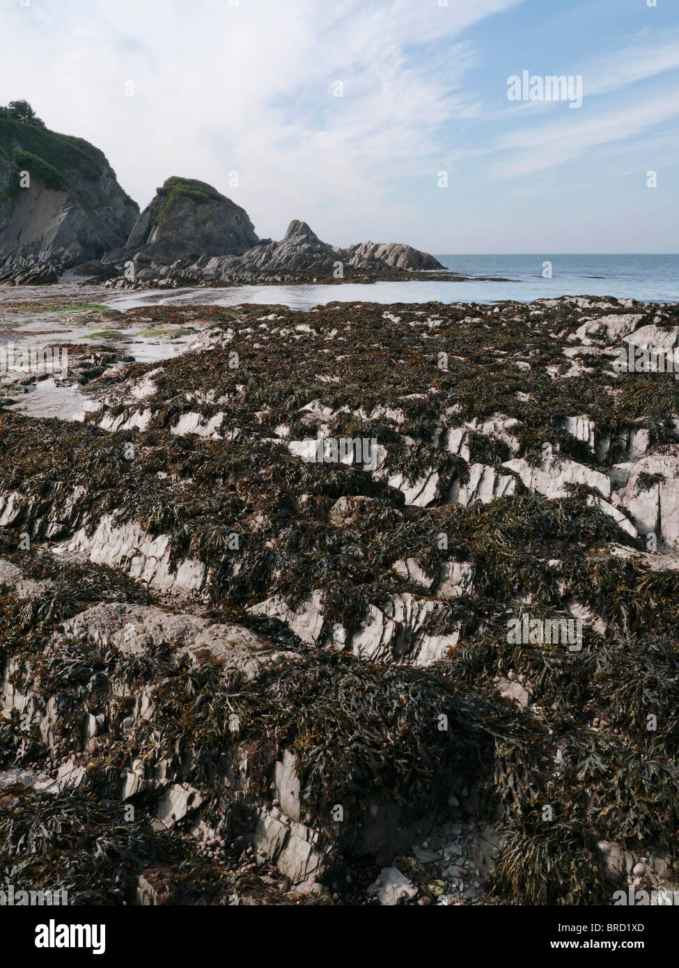colour image lee bay ilfracombe the devon coast england uk Stock Photo ...