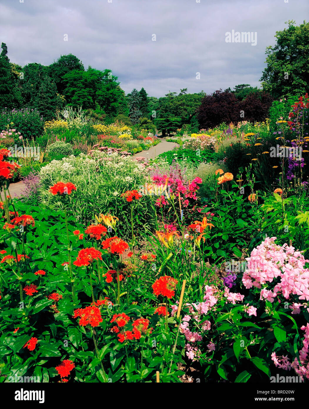 Irish National Botanic Gardens, Dublin, Co Dublin, Ireland; Path ...