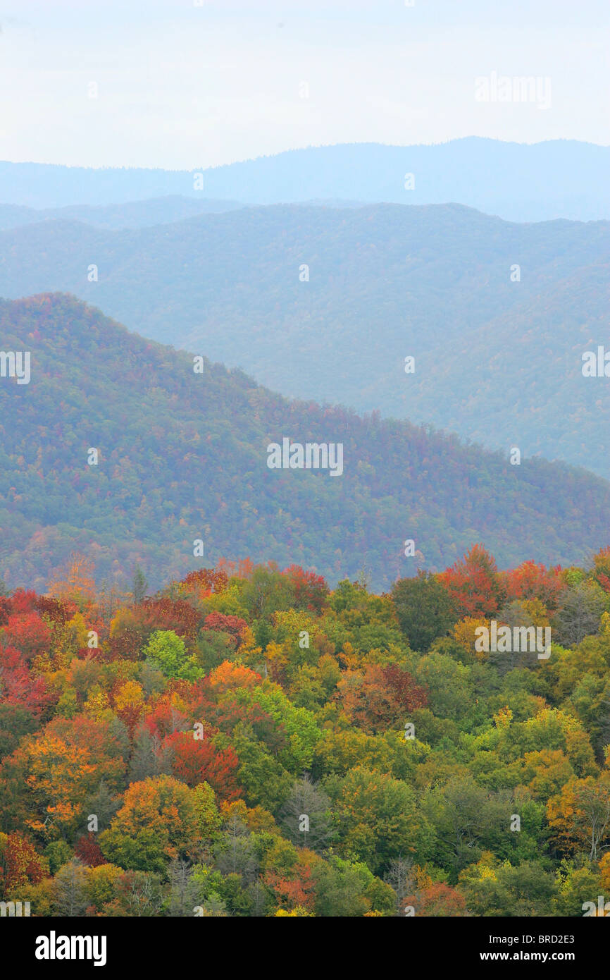 colorful fall photos from the Great Smoky Mountains National Park with ...