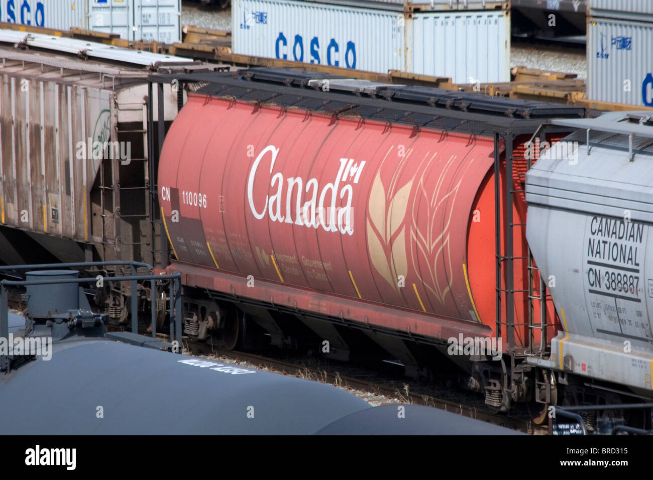 Freight Cars in Canadian Pacific rail yard in Port Coquitlam Vancouver BC British Columbia ...