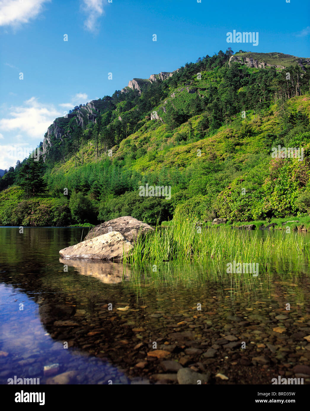 Glanmore Lake, Beara Peninsula, Co Cork, Ireland; Lake And Shoreline In ...