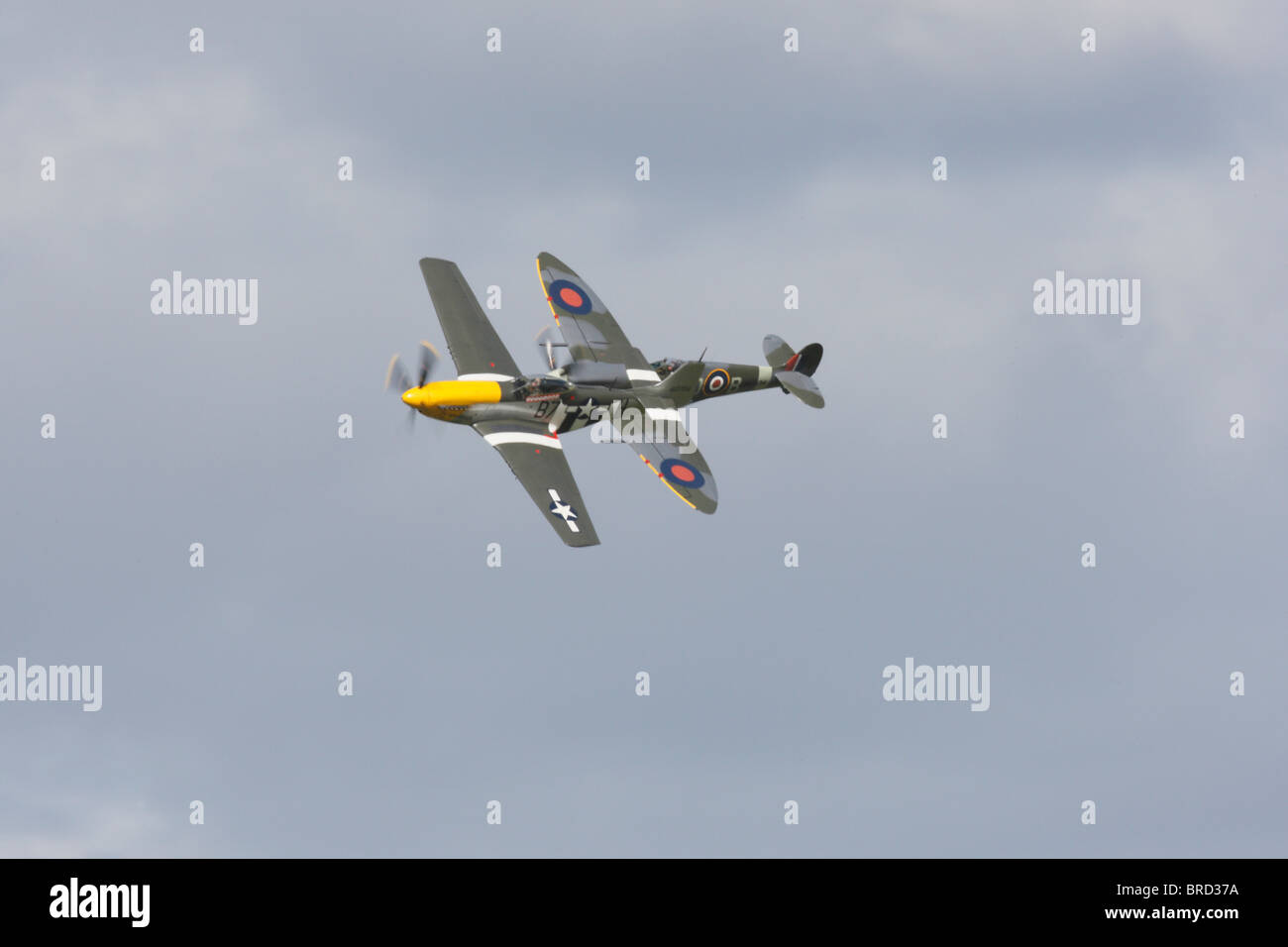 Spitfire super marine fighter aircraft hi-res stock photography and ...