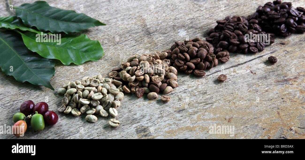 Row of roasted coffee beans in different levels. All on rustic wooden ...