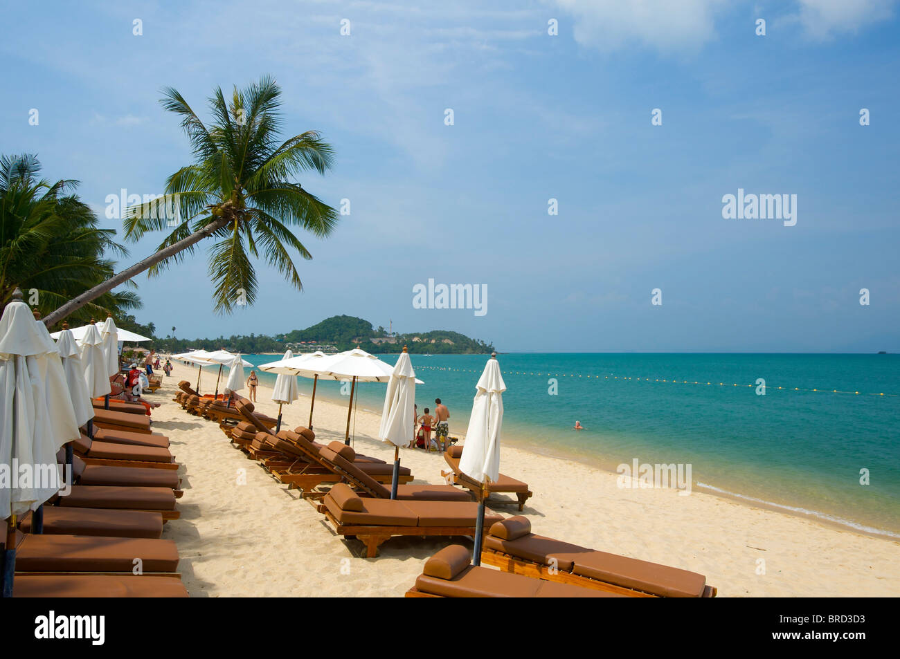 Samui island hi-res stock photography and images - Alamy