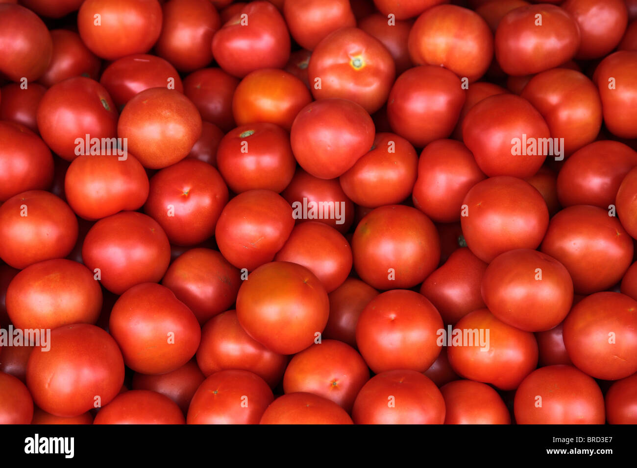 Tomatoes background texture Stock Photo - Alamy