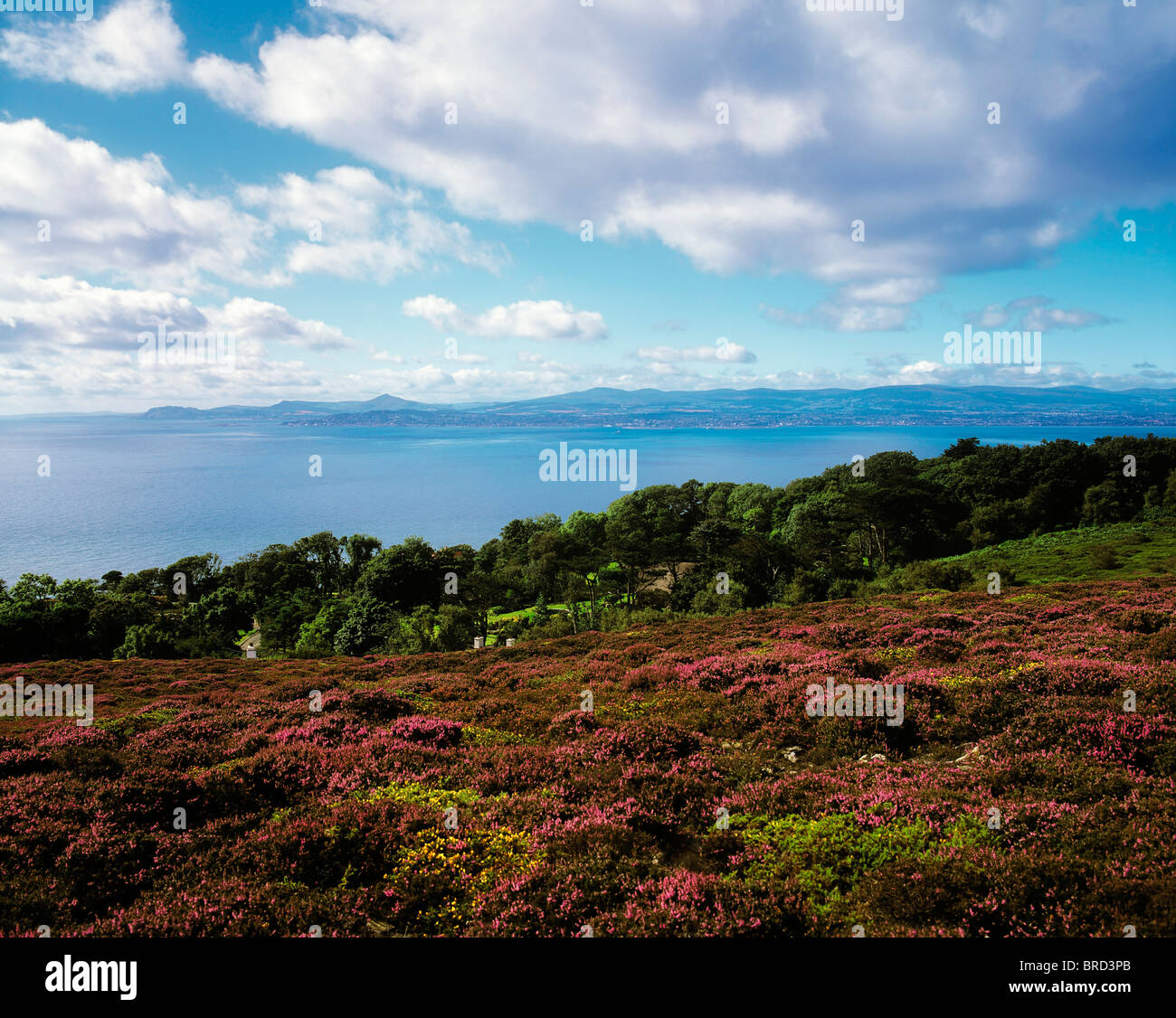 Dublin Bay, From Howth Head, Co Dublin, Ireland Stock Photo - Alamy