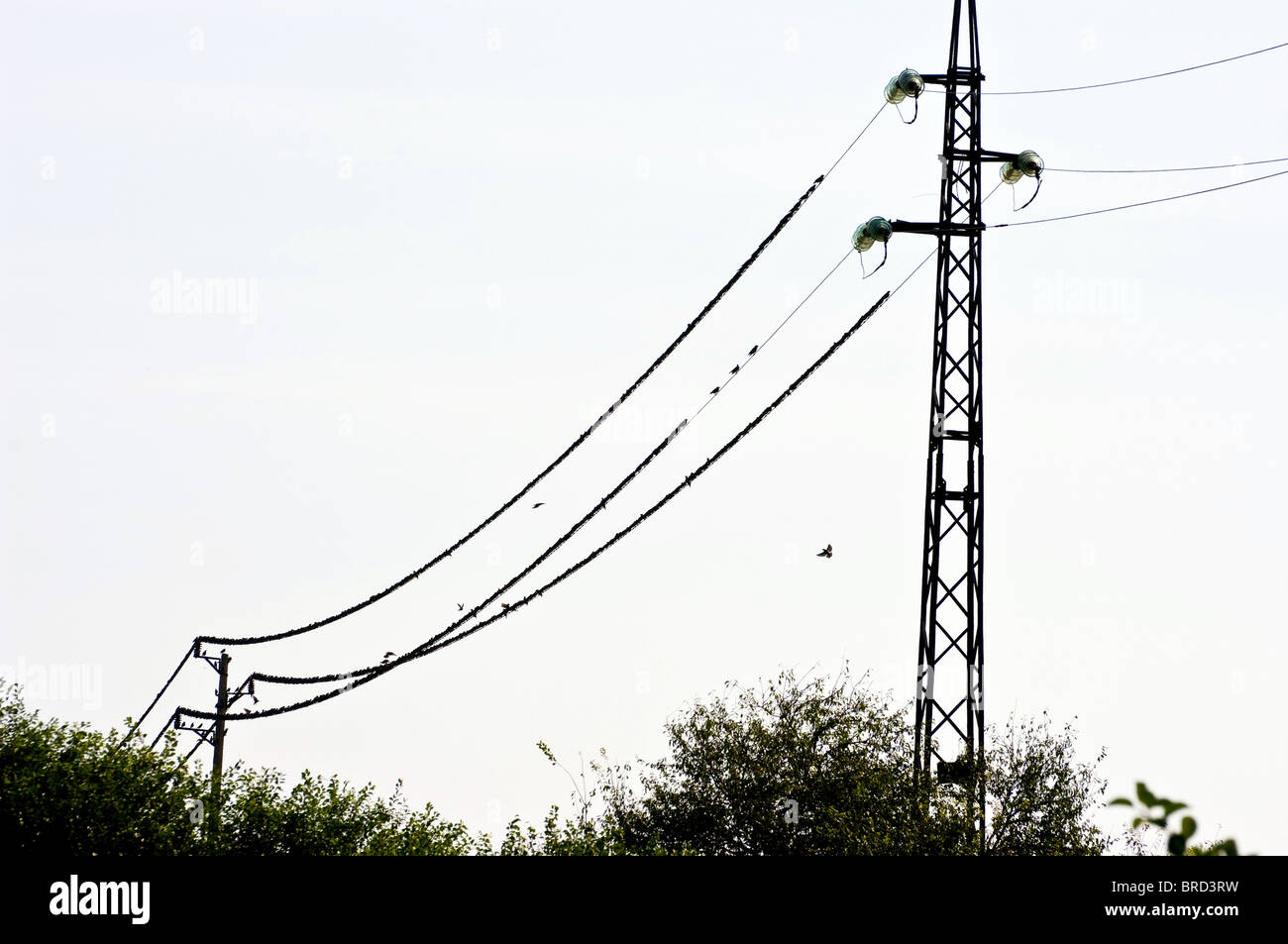 Electrical conductors hi-res stock photography and images - Alamy