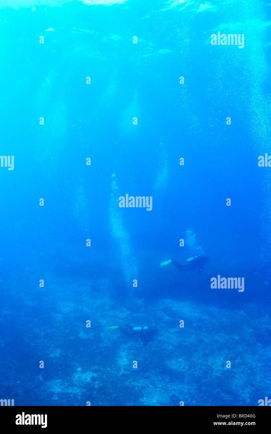 Two Scuba divers with bubbles rising up to surface, underwater view ...