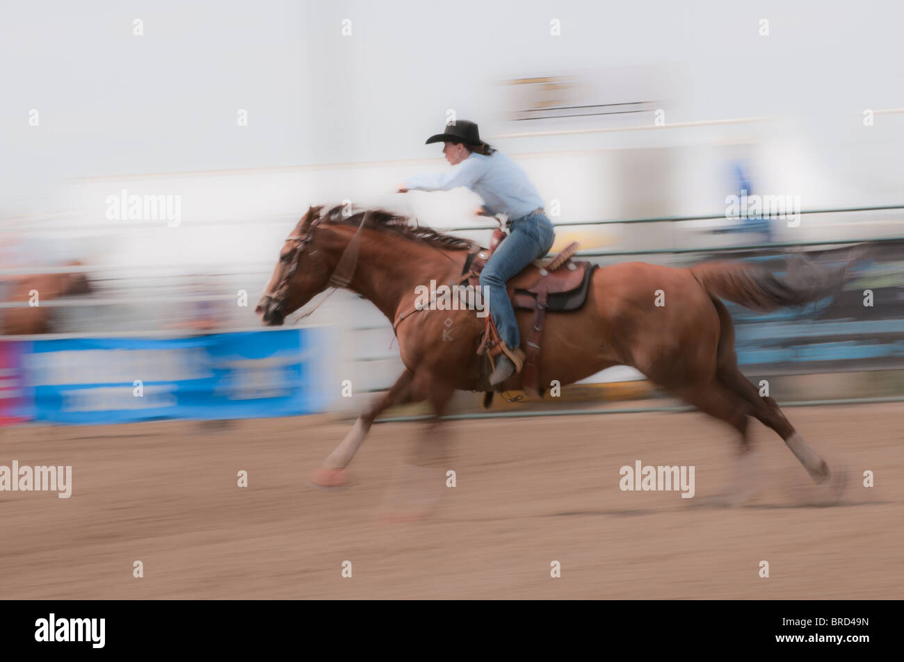 Motion blur of a cowgirl riding fast during barrel racing, Strathmore ...