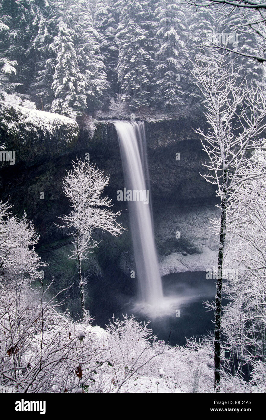 View of South Falls in winter, Silver Falls State Park, Marion County ...