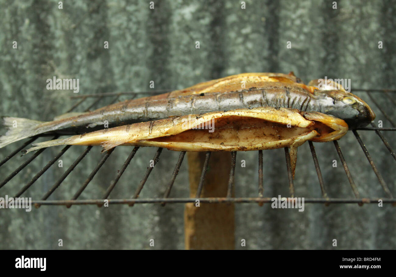 Fish being cooked on an improvised stove Stock Photo - Alamy