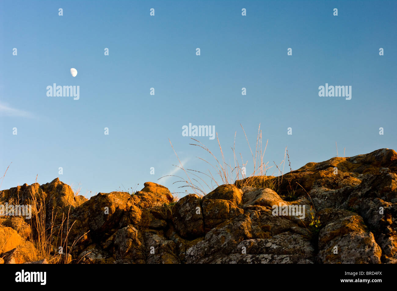 Moon spots hi-res stock photography and images - Alamy