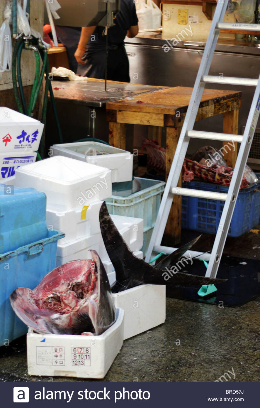 Tuna Boxes High Resolution Stock Photography and Images - Alamy