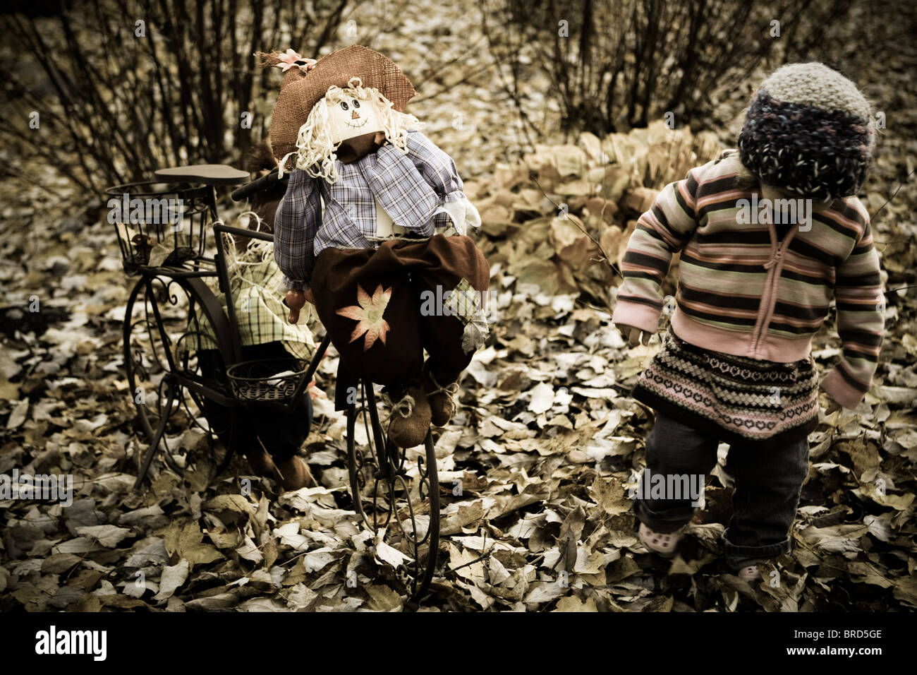 A toddler is finished playing with a scarecrow Halloween decoration and ...