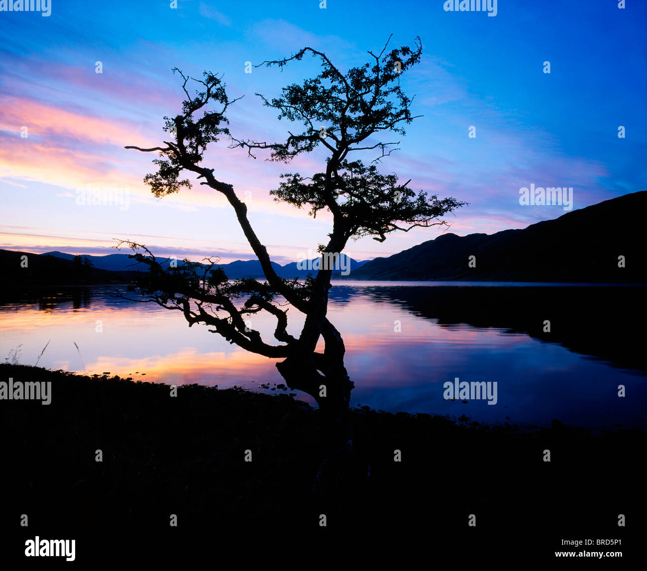 Kylemore Lake, Connemara, Co Galway, Ireland Stock Photo - Alamy