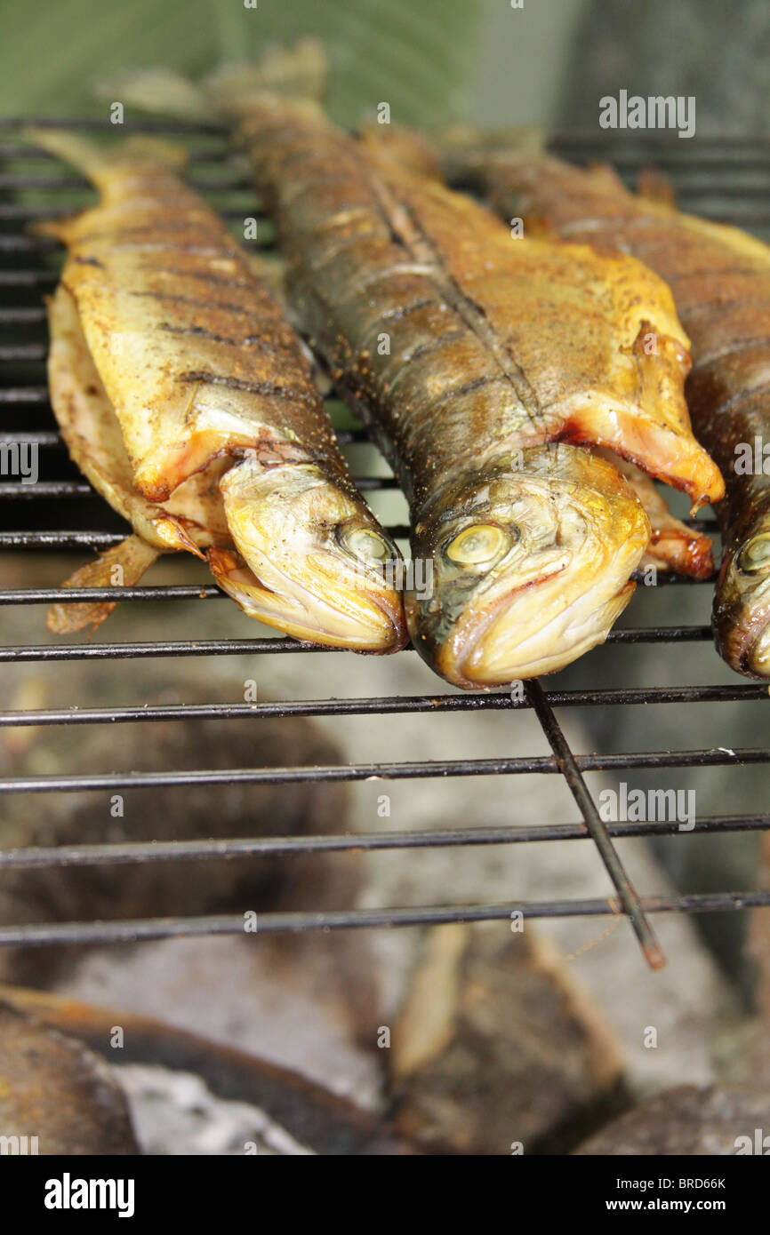 Fish being on improvised stove hi-res stock photography and images - Alamy