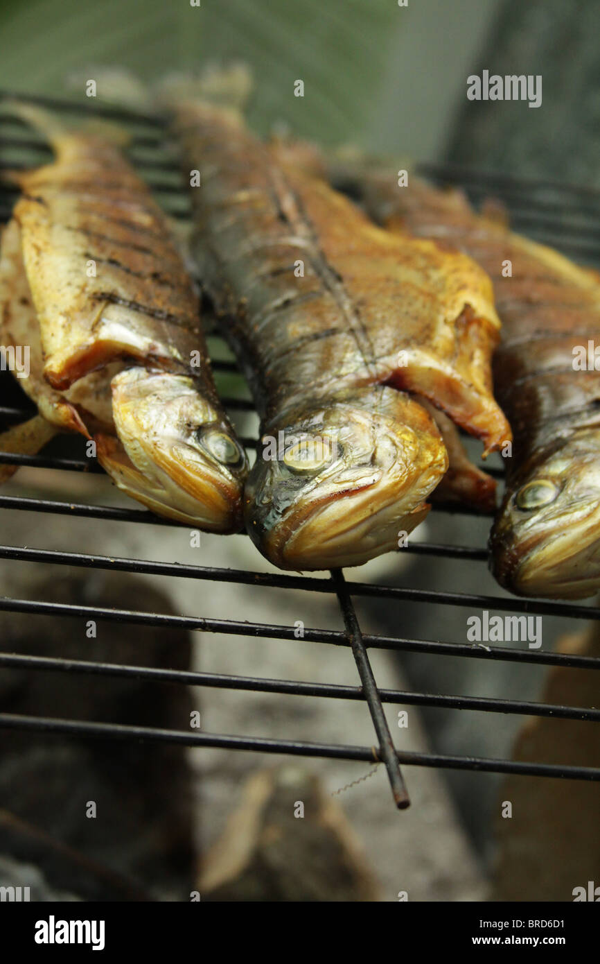 River fish being cooked over a grill with firewood Stock Photo - Alamy