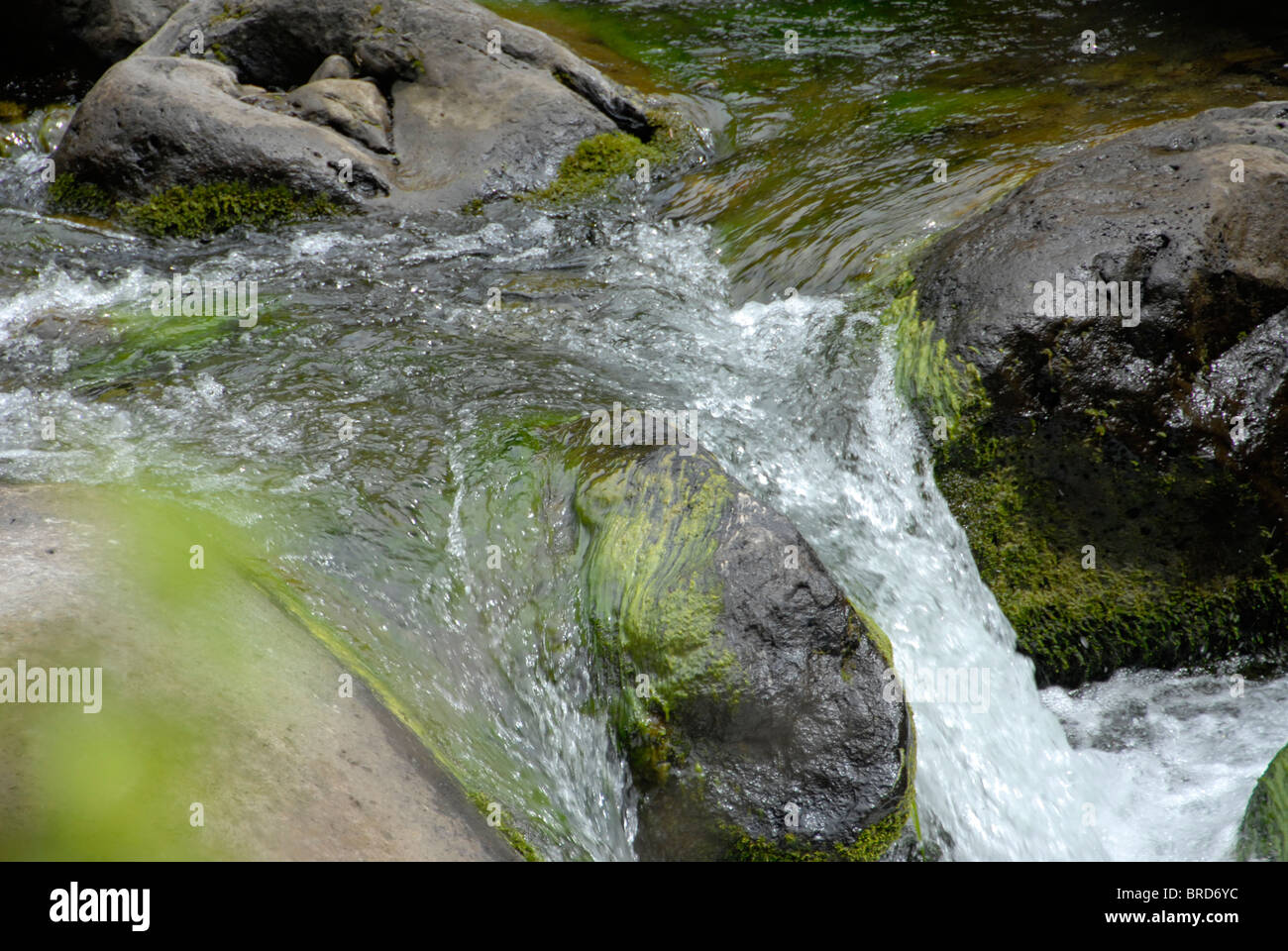 A babbling brook in Hawaii with swift , clear water flowing over and ...