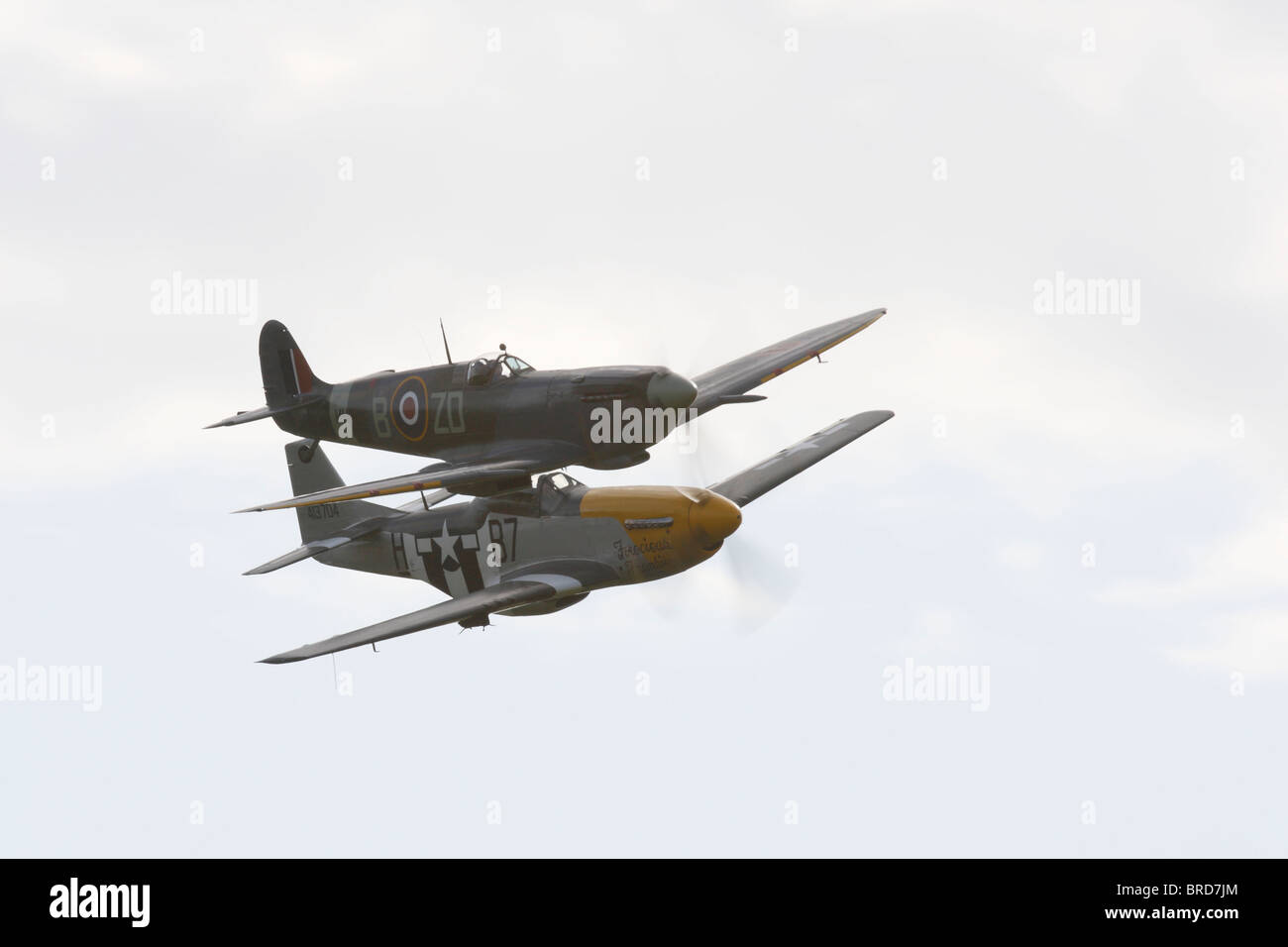 A P51D Mustang and a Super marine Mk IXB Spitfire in close formation ...