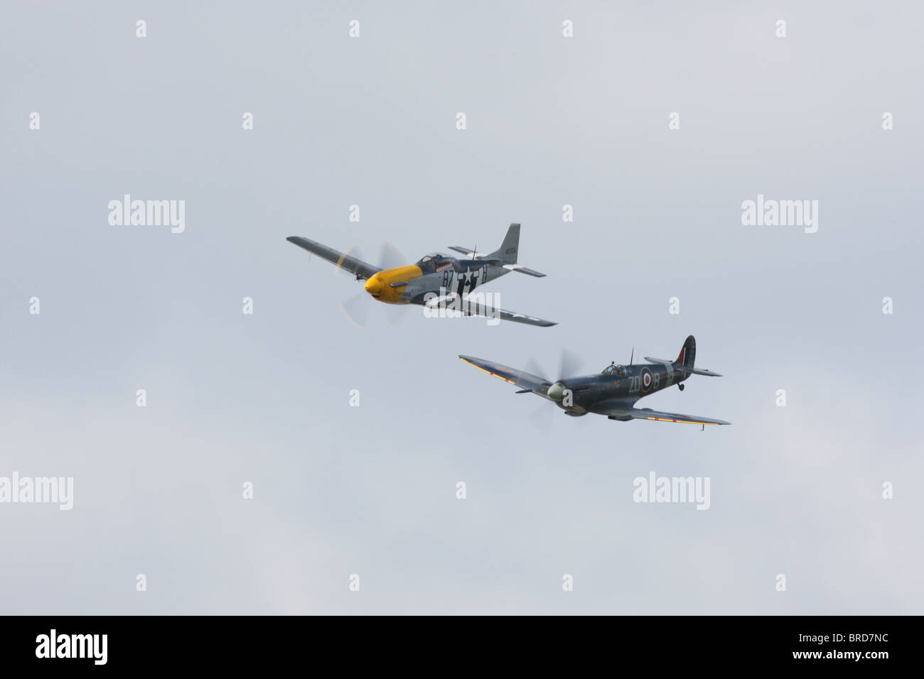 A P51D Mustang and a Super marine Mk IXB Spitfire in close formation ...