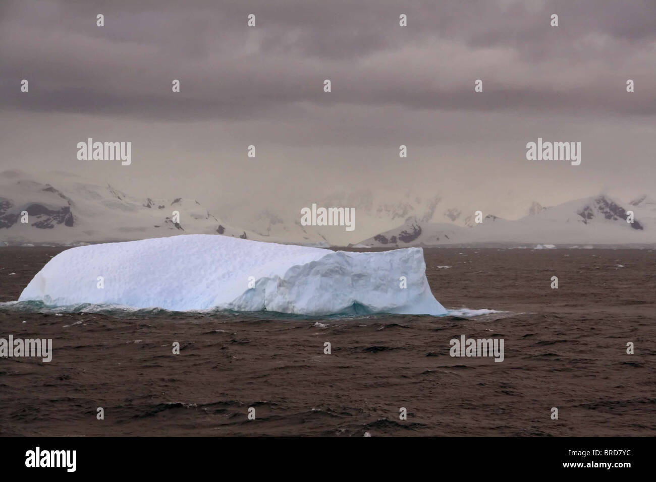 Iceberg glowing in an overcast dawn, South Shetland Islands, Antarctica ...