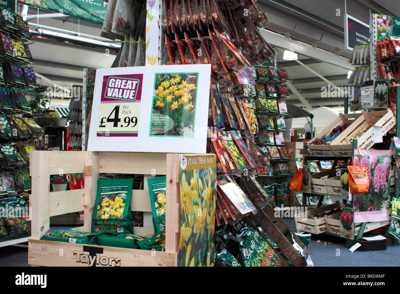 Selection of Autumn bulbs on display Stock Photo - Alamy
