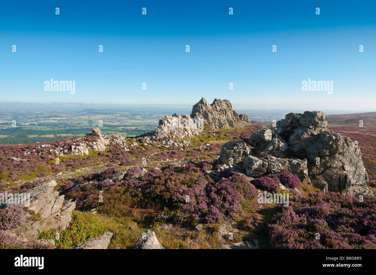 Quartzite outcrops hi-res stock photography and images - Alamy