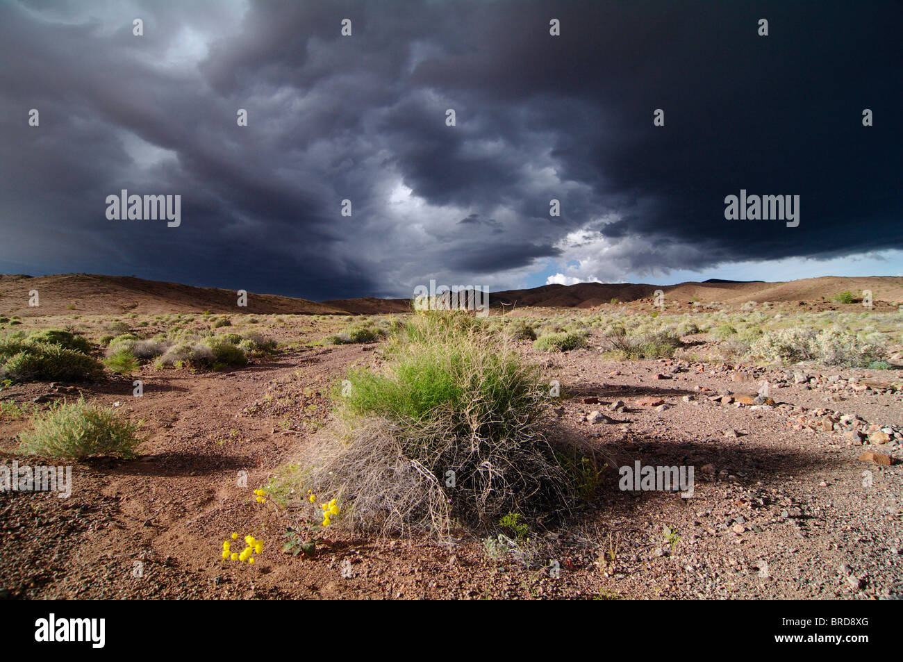 Death valley sand storm hi-res stock photography and images - Alamy