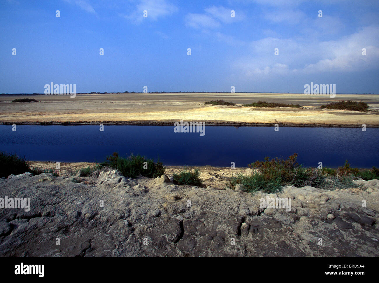 landscape, wetland, wetlands, marsh, marshland, saltwater channel ...