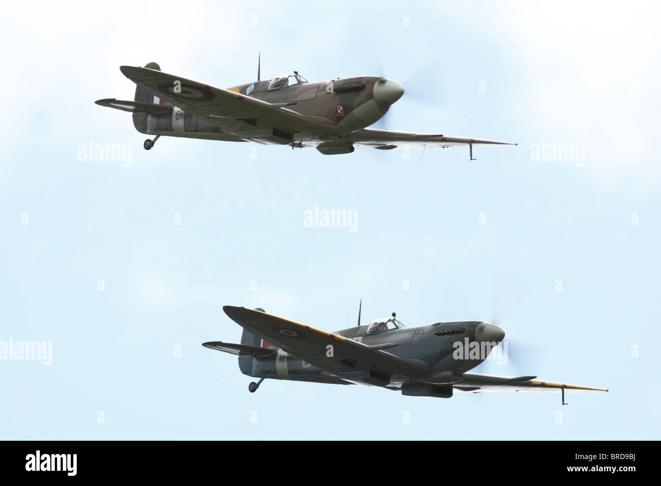 Supermarine Spitfires flying in formation Stock Photo - Alamy