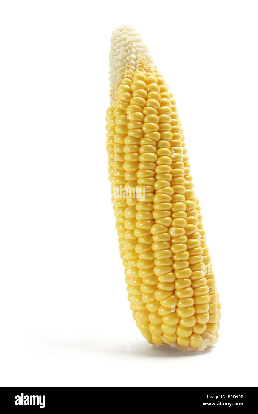 Corn cob Cut Out Stock Images & Pictures - Alamy