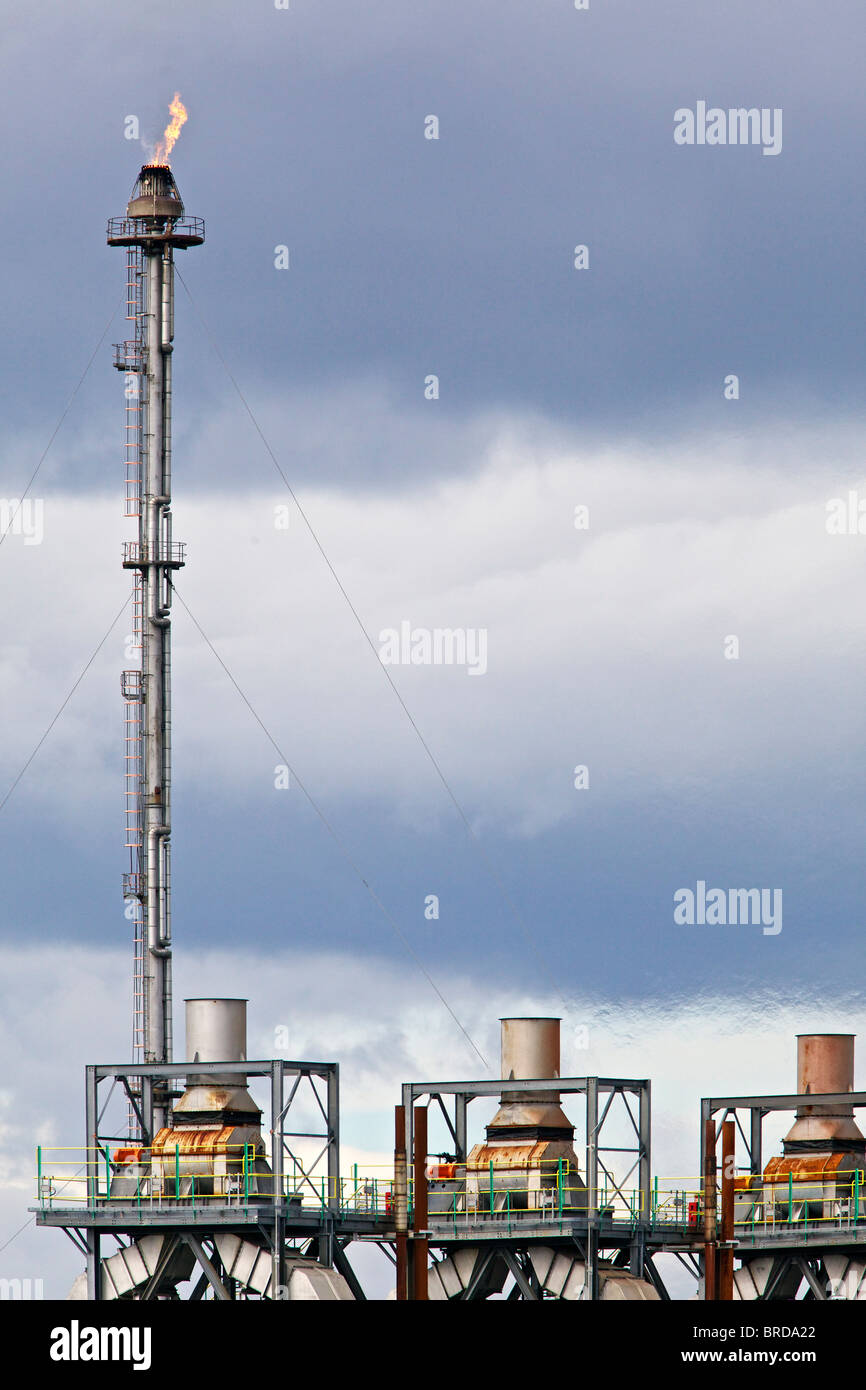 Ineos Grangemouth refinery, Scotland Stock Photo - Alamy